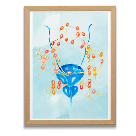 Pelvic Lymph Nodes Male Anatomy Urology Artwork Medpapers