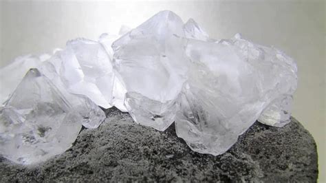 Chuyên đề Phèn Chua Nhà Thuốc Fpt Long Châu