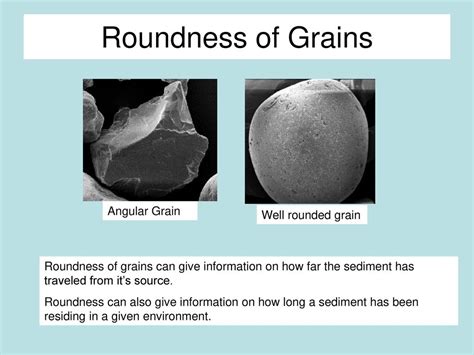 Guide To Identifying Terrigenous And Biogenous Sand Particles Ppt Download