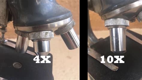 The Parts And Functions Of A Microscope YouTube