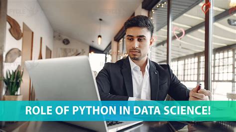 Role Of Python In Data Science Infycle Technologies