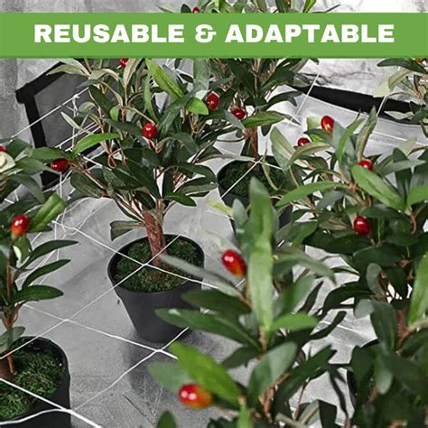 Trellis Netting 1 5m X 4 5m Reusable Hydroponics And Aquaponics Cannabis Grow