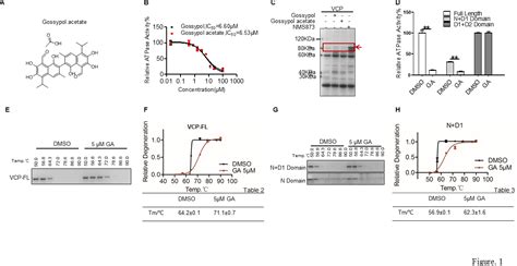 Autophagic Degradation Of Mutant Huntingtin By Enhancement Of The Complex Of Vcp P97 Lc3 Mhtt