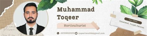 Muhammad Toqeer On Linkedin Macrame A Form Of Textile Art That Uses