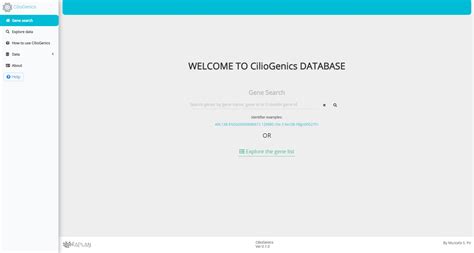 Portfolio Mustafa Samet Pir