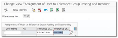 11 Ewm Physical Inventory Sap Quick Guide