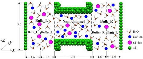 Schematic Diagram Of The Md Model Unit Nm At The Beginning Of Each Download Scientific
