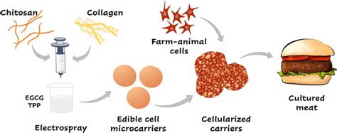 MicroTester Multi Mode Testing On Micro Sized Specimens