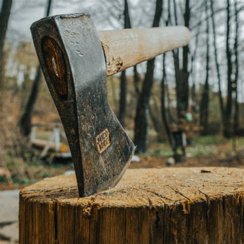 15 Types Of Tree Cutting Tools For Pruning Felling And Wood