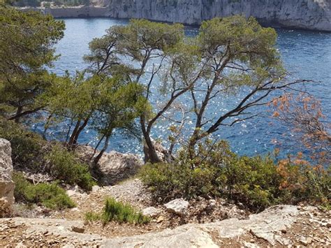 Premium Photo Beautiful Calanques Of Cassis