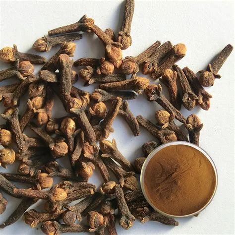 About Clove Powder A Flavor And Fragrance Agent From Natural Cloves