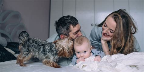 Ivf With Donor Sperm North Cyprus Ivf