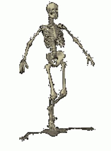 Skeleton Run  Skeleton Run Rush Discover And Share S 
