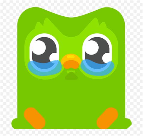 Duolingo Spanish Sad Icon 317567945477211 By Gabbybalderas Duolingo