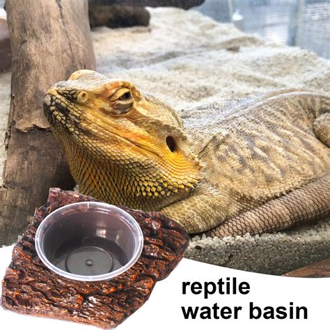 Bearded Dragon Food Reptile Water Bowl With Sponge Drowning