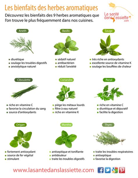 La Santé Dans Lassiette Fiche Pratique Les Bienfaits Des Herbes