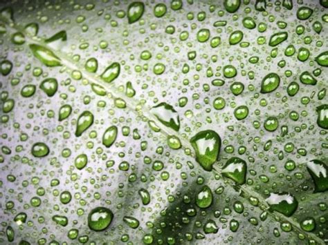 What Is Water Condensation Definition Process And Examples
