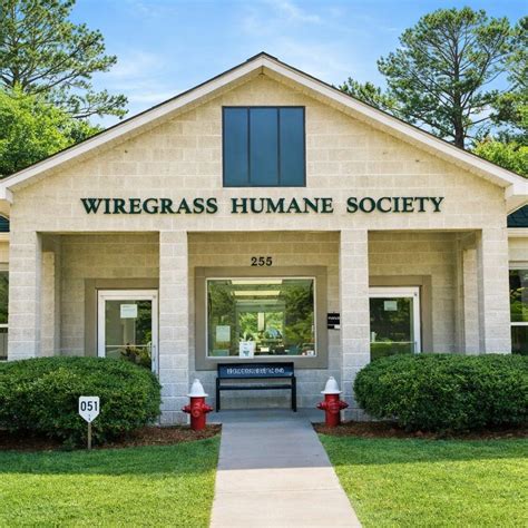 Devon Sellers Trying To Stay Cool Out At Freedom Fest Facebook