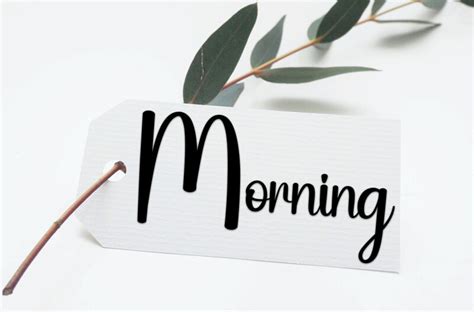 Bulk Windows Font Free For Personal