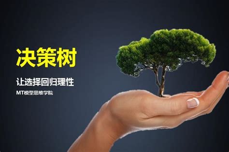 思维模型决策树让选择回归理性
