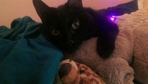 Carry On Album On Imgur