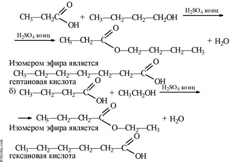 1 Напишите уравнения реакций получения а бутилового эфира пропионовой кислоты б этилового
