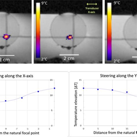 Positioning Of The Phased Array Transducer On Carcass Lamb A Download Scientific Diagram