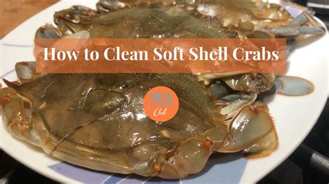 How To Clean A Soft Shell Crab Youtube