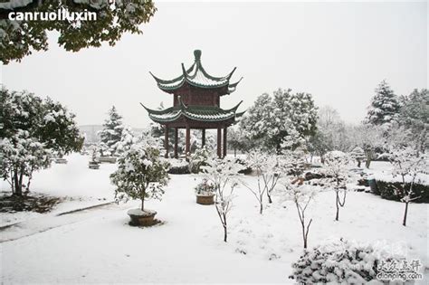 松鹤雪景 松鹤风景 关于松鹤 上海松鹤园一级公墓