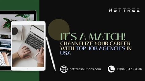 Insights Nettree Solutions