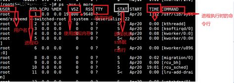 Linux 显示系统执行的进程 终止进程 kill 和killall 正霜霜儿 博客园