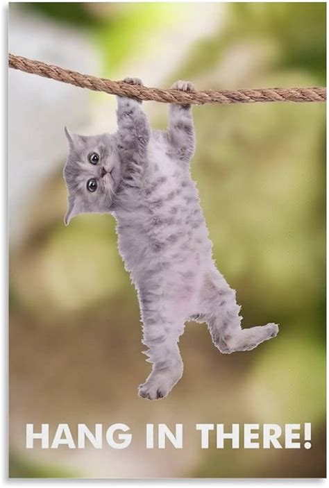 The 30 Funniest Cat Poster Quotes To Hang On Your Walls