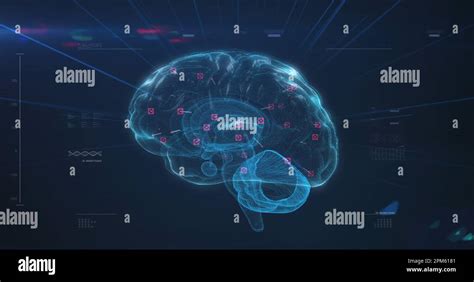 Composition Of Light Trails Over Digital Brain With Data Processing On Black Background Stock
