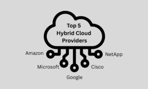 This Are The 5 Real Life Examples Of Hybrid Cloud