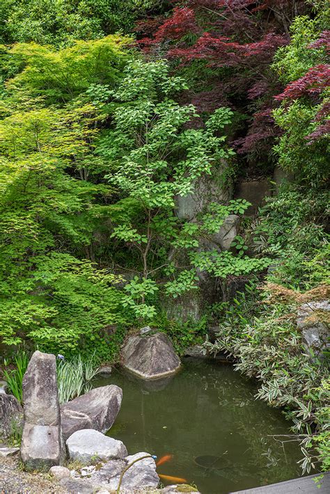 西念寺稲田御坊 浄土真宗発祥の地でみる池泉観賞式庭園 庭園ガイド