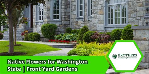 Native Flowers For Washington State Gardens Design