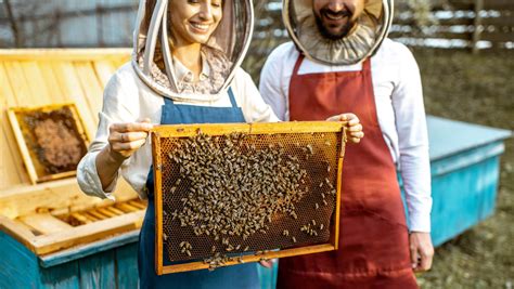 National Urban Beekeeping Day July 19th Days Of The Year