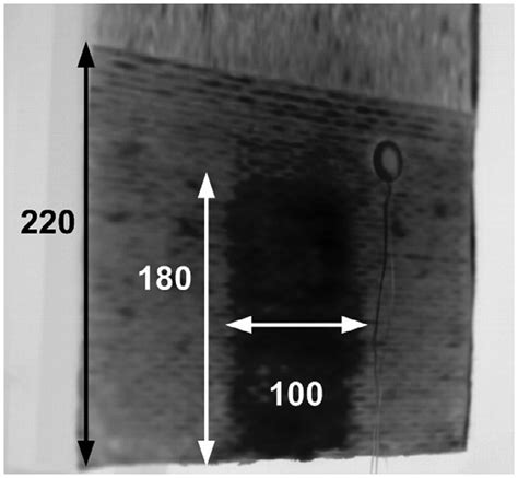 Specimen 8 Defect Sizes In Mm Download Scientific Diagram