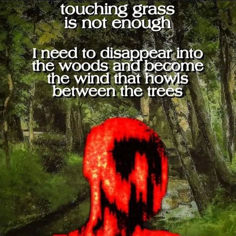 Touching Grass Is A Temporary Solution Rschizoposters