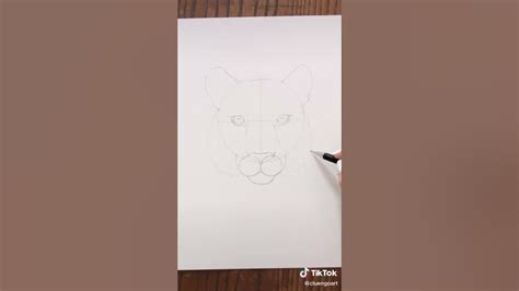 호랑이를 그리는 방법 Youtube