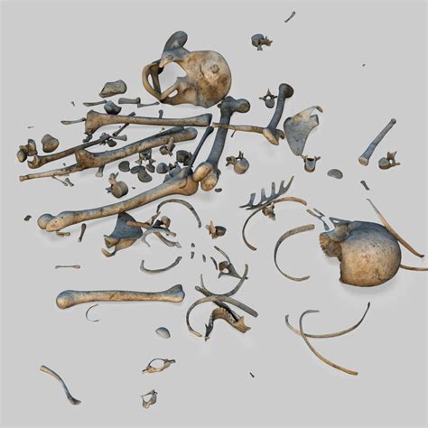 Bones Pile 3d Model 29 Ma Obj Free3d