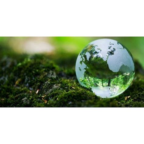 Global Environmental Services In Surat Id 20813578191