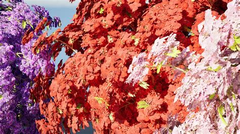 Jacaranda Tree Model Flippednormals