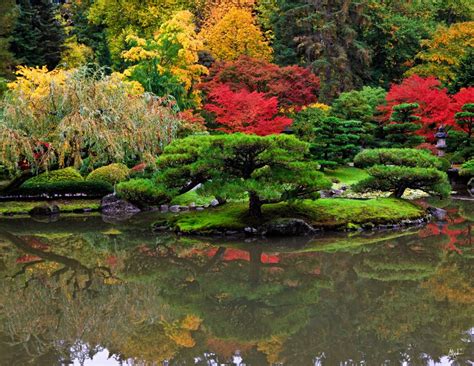 Famous Plants In Japan At Iris Morris Blog