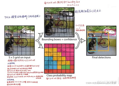 Yolov5预训练权重区别mob6454cc6acccd的技术博客51cto博客