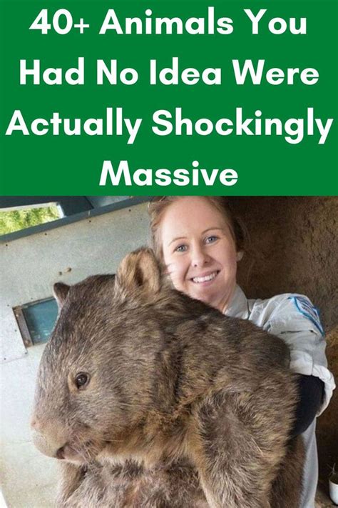 Animals You Had No Idea Were Actually Shockingly Massive Artofit