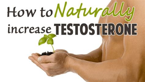 Testosterone Is A Crucial Hormone That Plays A Key Role In Various