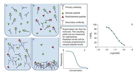 Comparison Of Elisa With Other Commonly Used Immunoassa Mybiosource