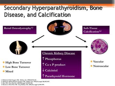 Ppt Primer For Apn Nephrology Practice Or Cnn Np Certification