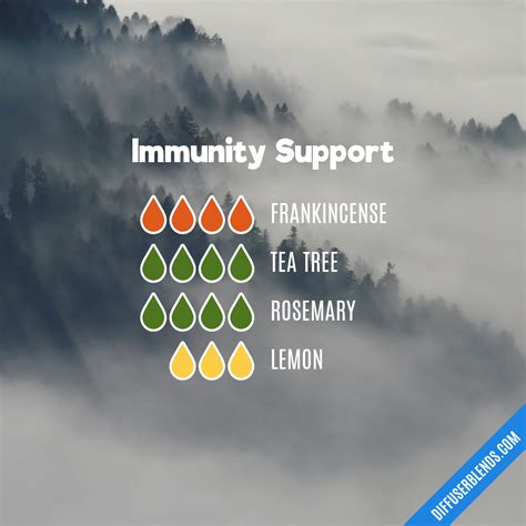 Immunity Support